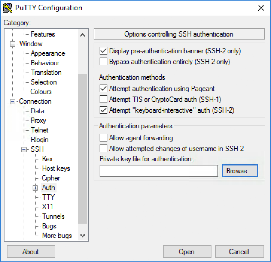 How To Connect To Amazon Lightsail Server Via Ssh With A Private Key Plesk